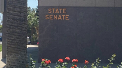 Arizona Senate President Petersen Announces New Committee Leadership ...