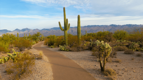 Arizona Lawmakers Advance Sweeping Reforms For State Land Department ...
